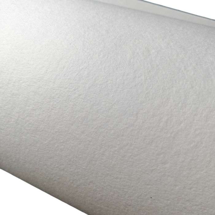 Industrial Needle Felt Filter Fabric Membrane Cloth Cartridge Media